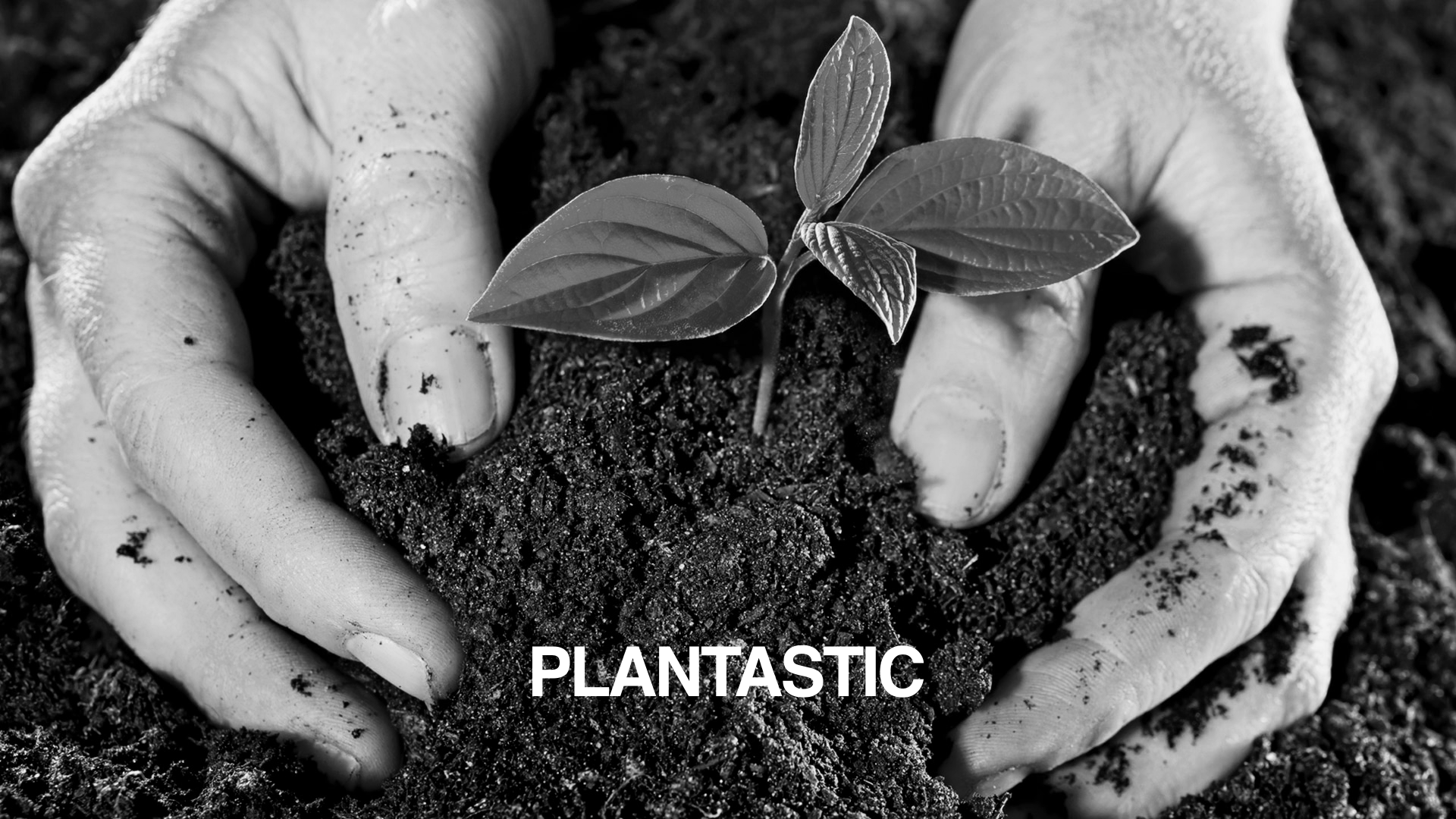 Planting trees successfully - PLANTASTIC